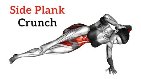Side Plank Muscles