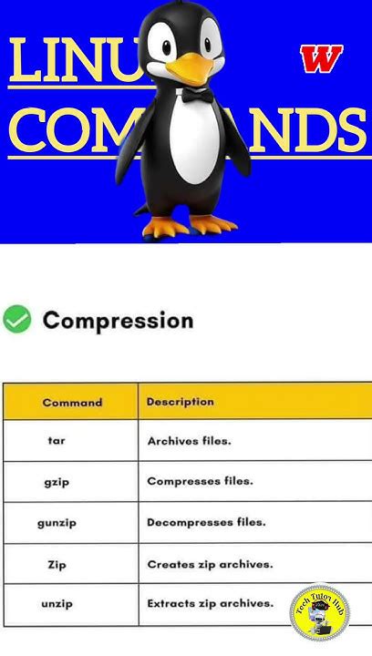 Linux Commands Youtube