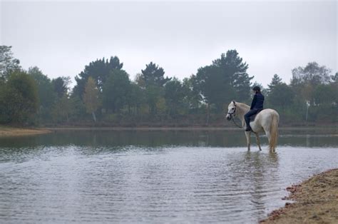 Engineering Bilinear Interpolation On Images Stored As Python Numpy Ndarray