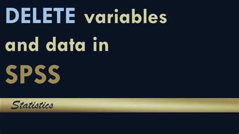 Delete Variables And Data In Spss Youtube