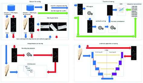 Modeling Of The Setup To Obtain The Final Solution The Datasets