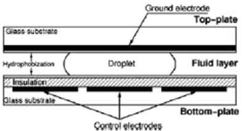 Figure From Electrowetting Actuation Of Droplets On A Digital Microfluidic Platform Semantic