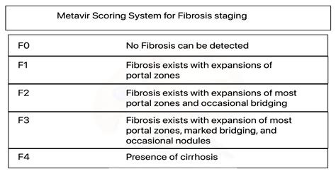 From Nafld To Chronic Liver Diseases Assessment Of Liver Fibrosis Through Non Invasive Methods