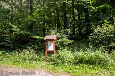 Witriolejnia - KrainaKarkonoszy.pl