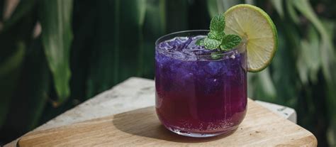 Violet Cocktail Recipes Aspiring Winos