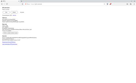 Manual Test Run On Linux For Ipfs Kubo 0191 Release · Issue 29775