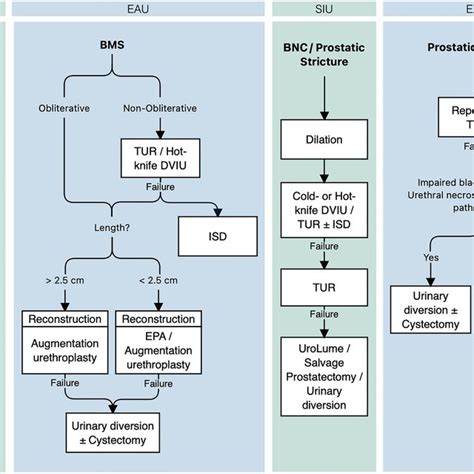 Guidelines On The Management Of Bladder Neck Contracture Due To Radical