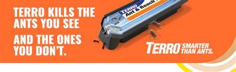 Terro T360 Ant And Roach Stations 1 Pack Ant Roach Desertcart Cambodia