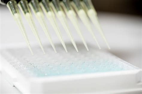 Sanbio B V On Linkedin Supplier Spotlight Hycult Biotech Develops And Produces Research…