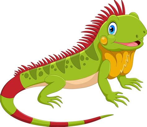 Reptiles Y Anfibios Dibujos Animados De Rana Camaleón Cocodrilo
