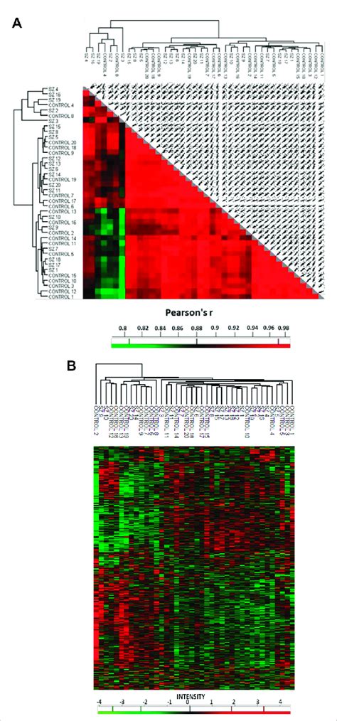 Quantitative Proteomic Analysis In The Prefrontal Cortex In