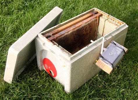 2023 Hackaday Prize Two Bee Or More Bee Swarm Detection Rhackaday