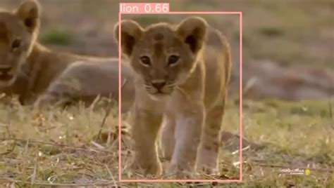 Madhuri Lukka On Linkedin Aimers Saisatish Yolo Objectdetection Ai Computervision