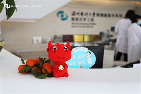 温州医科大学眼视光医院集团