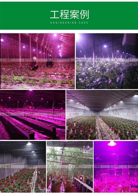植物灯 led植物灯 植物补光灯 植物生长灯 八爪鱼植物灯 植物灯生产厂家 深圳市宏阳照明有限公司