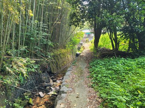 上村技研 STAFF BLOG 令和6年度が始まりました