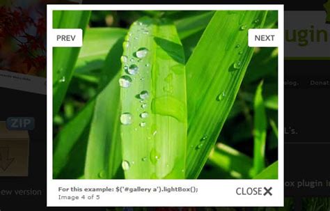 Add Prettyphotolightboxfancybox Image Gallery And Slider By Shahkhattak Fiverr
