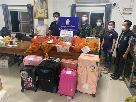 Dvb မြန်မာနယ်စပ်မှ ထိုင်းနိုင်ငံမဲဆောက်သို့ တရားမဝင်တင်ပို့သည့် လိပ်မ