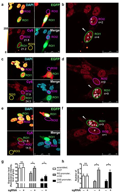 Selective Activation Of Cns And Reference Ppargc1a Promoters Is Associated With Distinct Gene