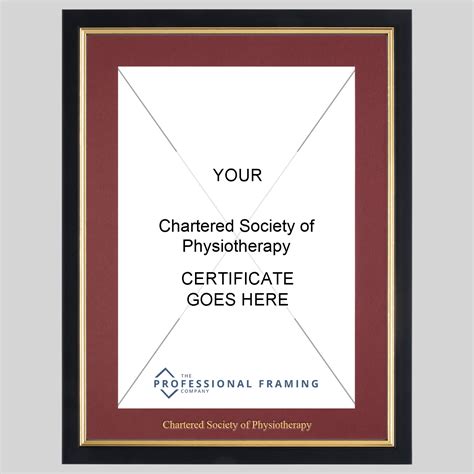 Chartered Society Of Physiotherapy Certificate Frame Professional