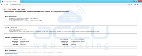 How To Enable Detailed Error From Iis Accuwebhosting