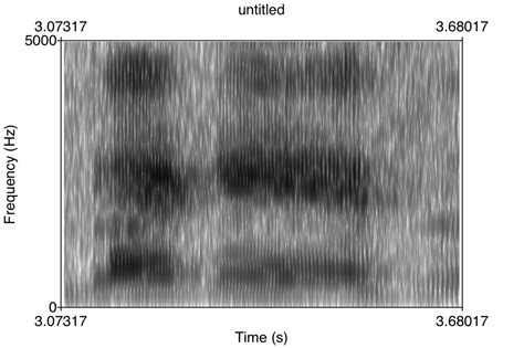 Spectogram Data Collection In Sociolinguistics Methods And Applications