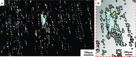 Three Dimensional Morphology Of The Defect The Defect And Low Density Download Scientific