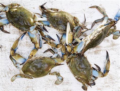 Fried Soft Shell Crab Kara Age With Green Chili Ginger Dressing