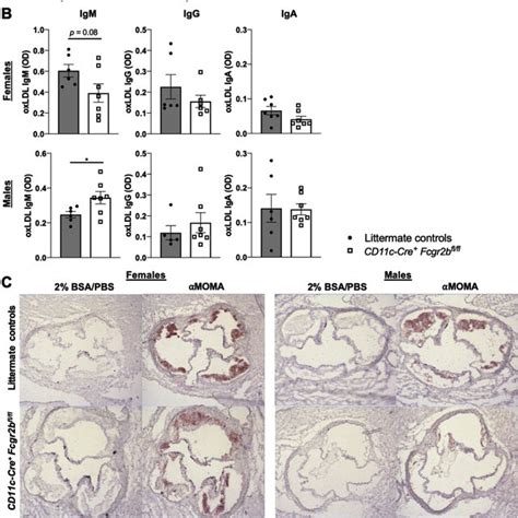 Sex Differences In Serum Markers Of Inflammation And Macrophage Download Scientific Diagram