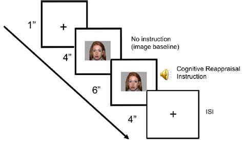 Cognitive Reappraisal Fmri Task On Each Trial Participants Viewed A Download Scientific