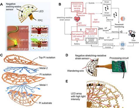 Design And Fabrication Of Closed Loop Self Adaptive Optogenetics System Download Scientific