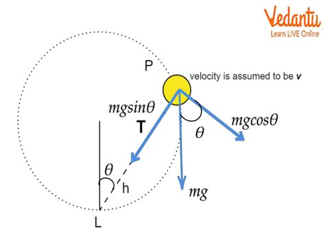 Motion In A Vertical Circle Important Concepts And Tips For Jee