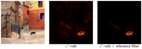 Relevance Propagation With Pytorch