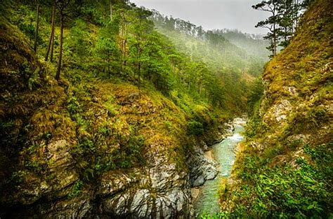 Taman Nasional Balbalasang Balbalan Wikipedia Bahasa Indonesia