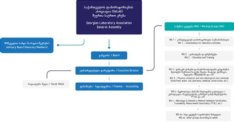 პარტნიორები