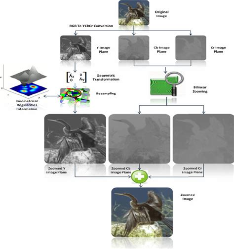 Flow Chart Of The Proposed Technique For Color Image Download Scientific Diagram