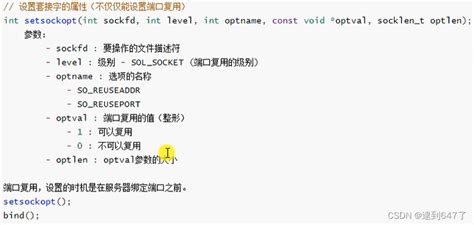 Linux并发服务器 —— Io多路复用（八）端口多进程复用的命令 Csdn博客