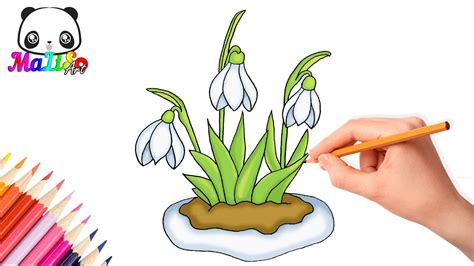 Як намалювати підсніжники весняні квіти Малюємо проліски How To Draw Snowdrops Youtube