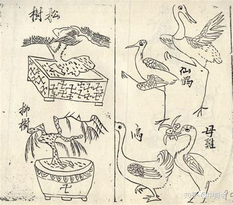 剪纸经典清韵弥远山东清代剪纸画稿 鲍家虎 知乎