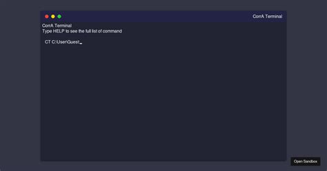 Terminal Codesandbox