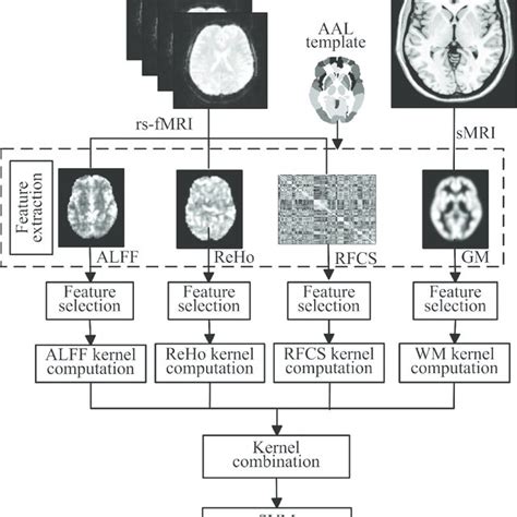 Schematic Illustration Of The Multi Feature Combination And Download Scientific Diagram