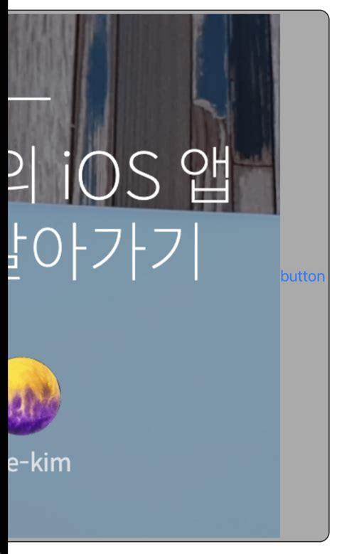 Ios Swift Uibutton의 Imageview 크기 조절 방법 Imageview Titlelabel