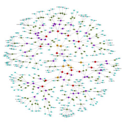 The Hierarchical Tree Structure Of The Brain Segmentation Brain