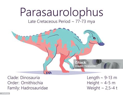 파라사우롤로푸스 오르니티스키치안 공룡 선사 시대 생물 Parasaurolophus의 다채로운 벡터 그림과 흰색 배경에 고립 된