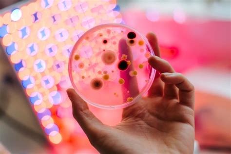 Find Grow See Beginners Microbiology Course Data Thistle