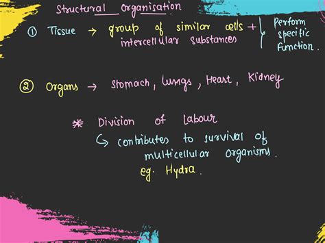 Solution Animal Tissues Cockroache Biomolecules Mind Maps Studypool