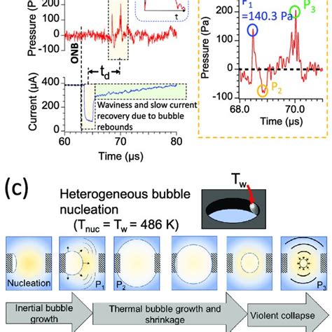 Nucleate Bubble Dynamics Ac Schematic Overview Of Homogeneous