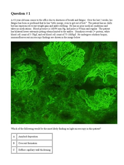 Renal Urinary Systems Electrolytes Pdf Diseases And Disorders
