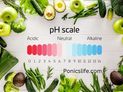 Hydroponic Charts For Fruits And Vegetables Ph Tds Ec Cf Ppm