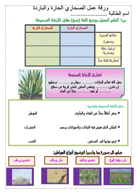 ورقة عمل علوم Activity Live Worksheets